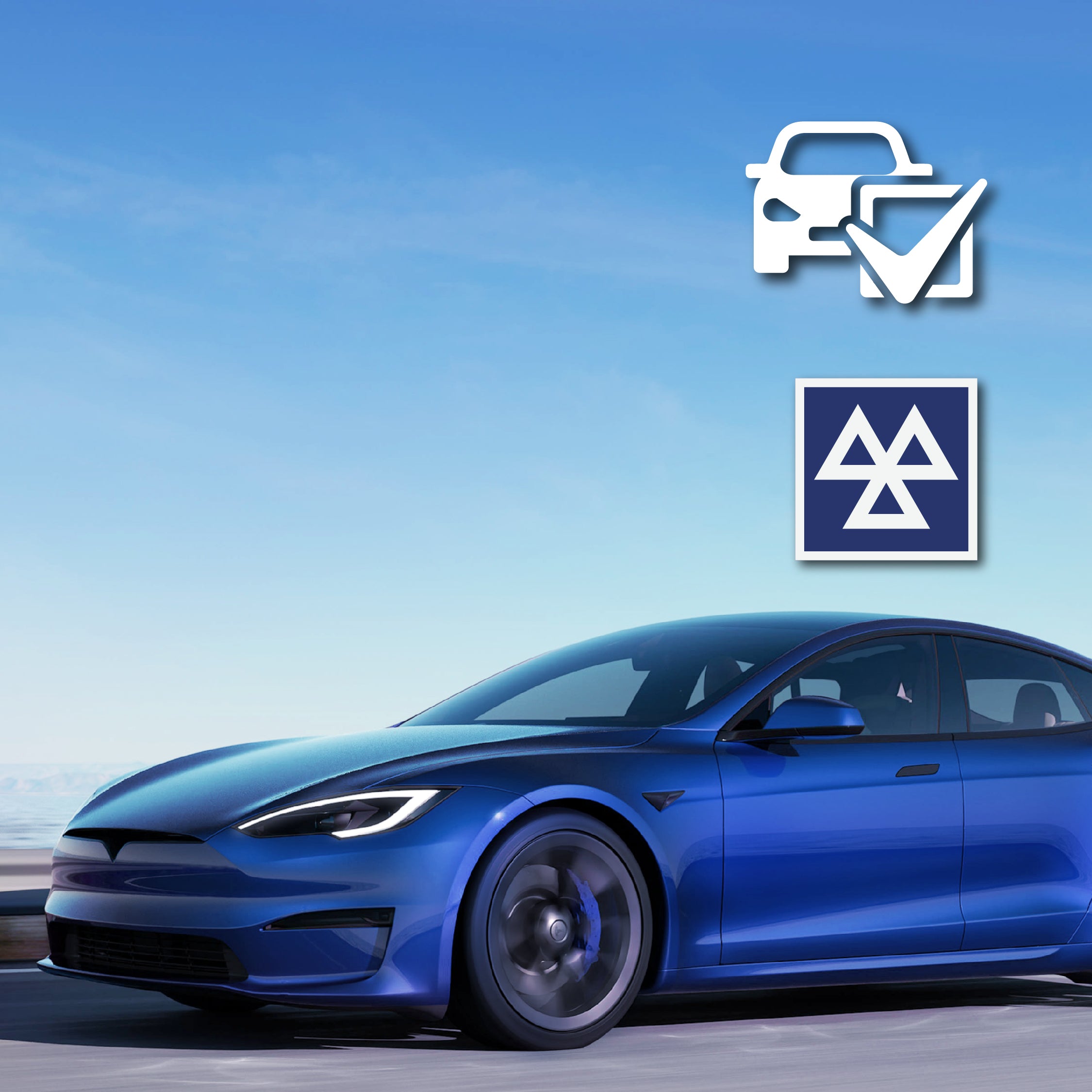 【TESLA Exclusive】Government Vehicle Inspection Package – CARs ...